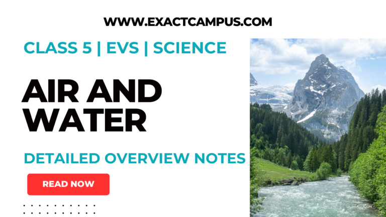 Factors Worksheets For Class 5 | Mathematics Worksheets - Exact Campus
