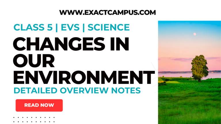 Changes In Our Environment | Class 5 Science Chapter - Exact Campus