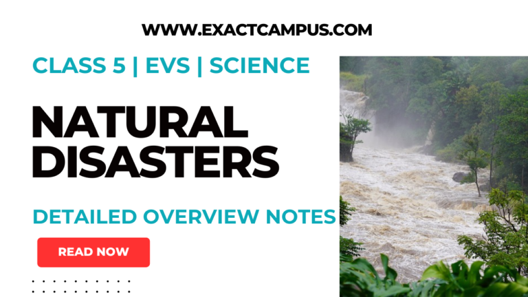 Natural Disasters: Nature’s Mighty Power! | Class 5 Science Chapter ...