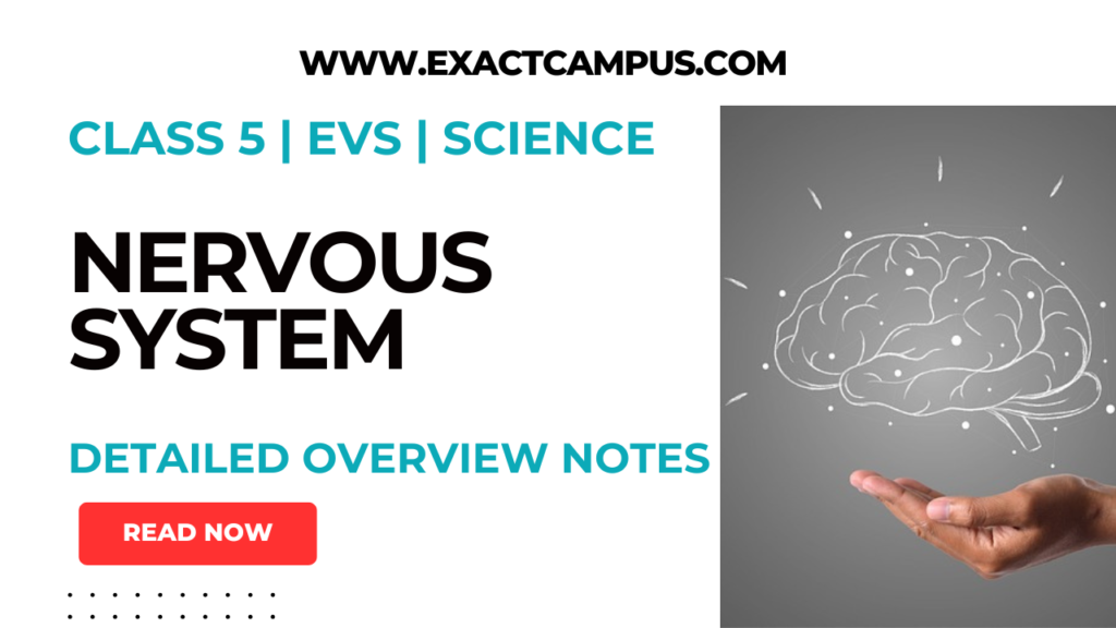 Class 5 (Grade 5) Science Downloadable Free Practice Worksheets (ALL ...