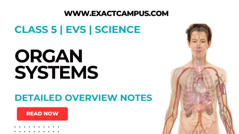 Understanding Organ Systems | Class 5 Science Chapter - Exact Campus