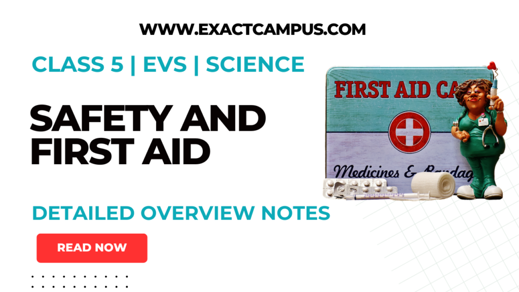 Understanding Safety And First Aid | Class 5 Science Chapter - Exact Campus