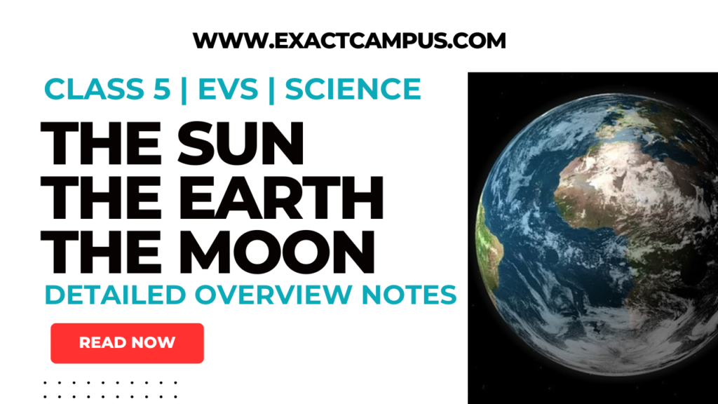 The Sun, The Earth, The Moon: A Fascinating Journey Through Space ...