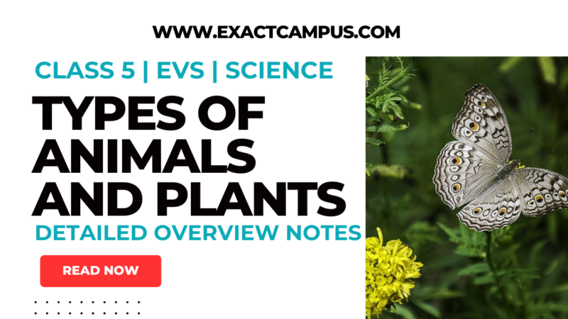 Class 5 (Grade 5) Environmental Studies Downloadable Free Practice ...