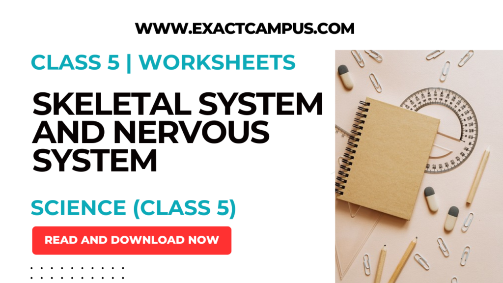 Nervous System And Skeletal System Worksheets For Class 5 Students ...
