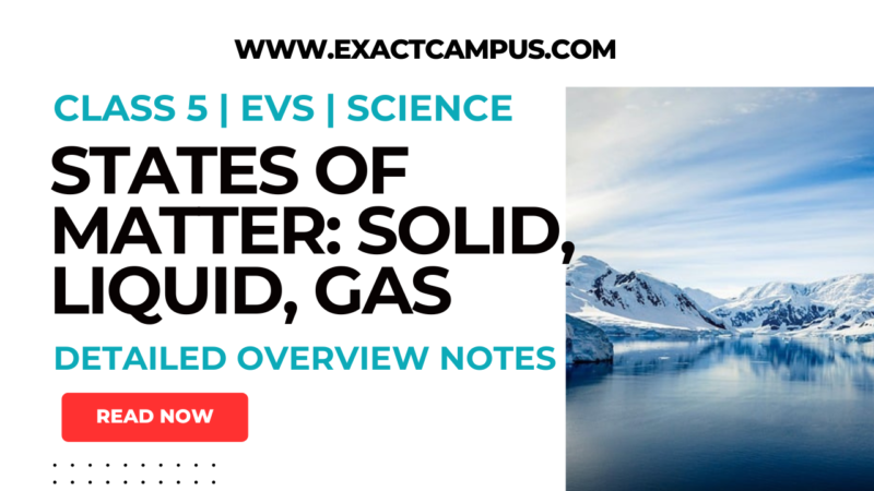 States Of Matter: Exploring The Three Forms | Class 5 Science Chapter ...